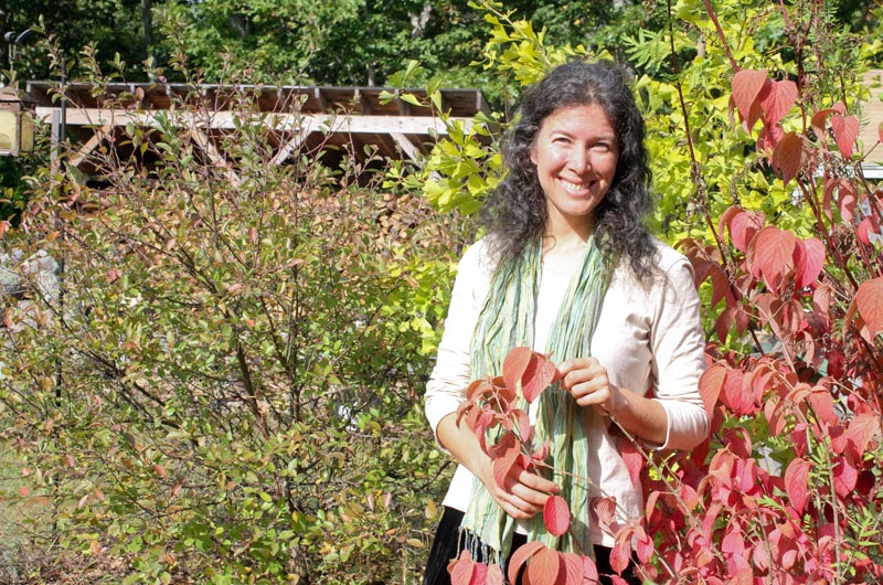Vineyard Gazette | Authors | Tracing the Lineage of Women Healers ...
