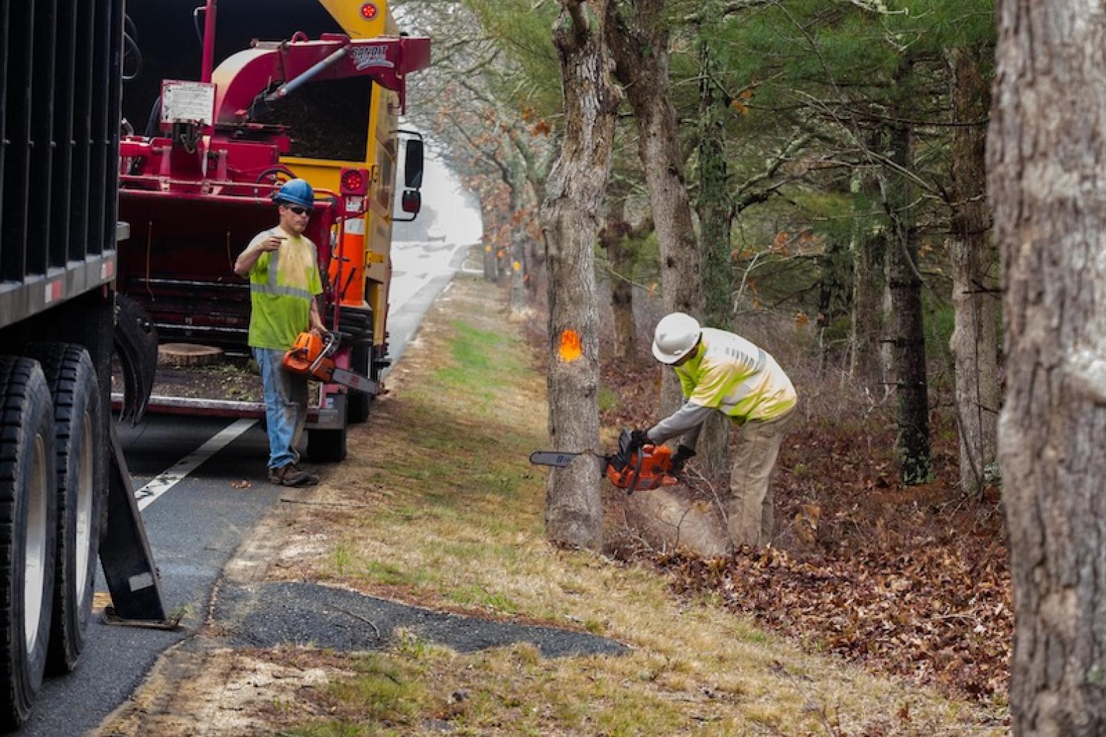 Vineyard Gazette | Massachusetts Department of Transportation | State ...